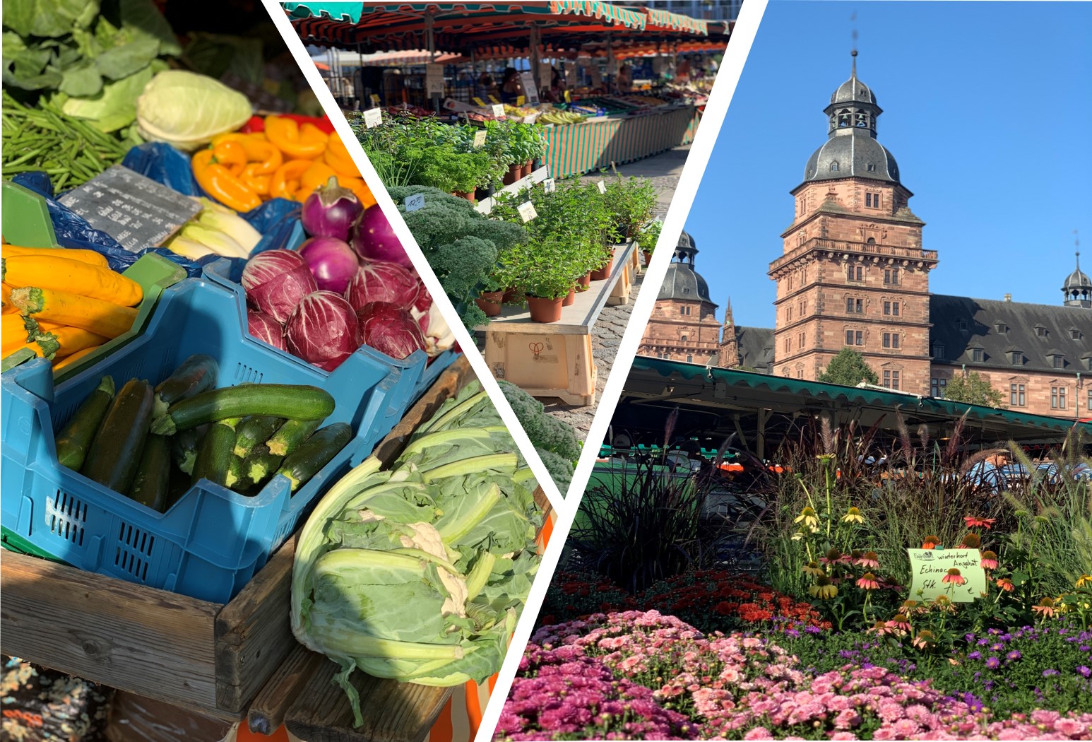 Bummel über den Wochenmarkt - Reise trifft Genuss