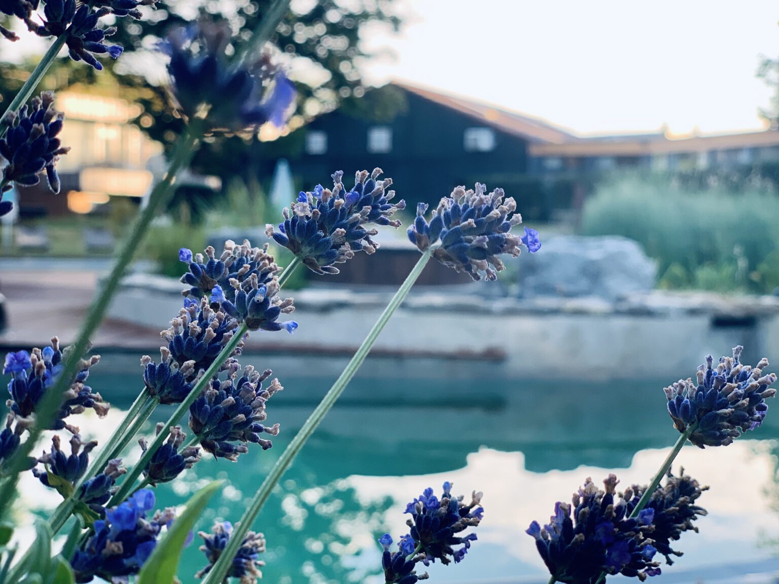 Wellnessauszeit im Mawell Resort - Reise trifft Genuss